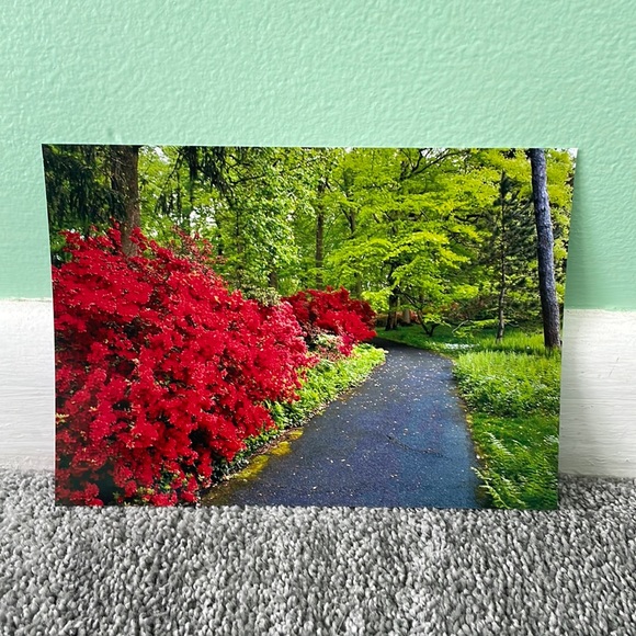 Art | 5 X 7 Print Of Red Azaleas At Winterthur Museum In De | Poshmark